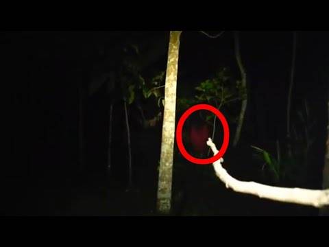 RED GHOST SIGHTINGS - WTF Content | Free Funny and Bizarre Videos