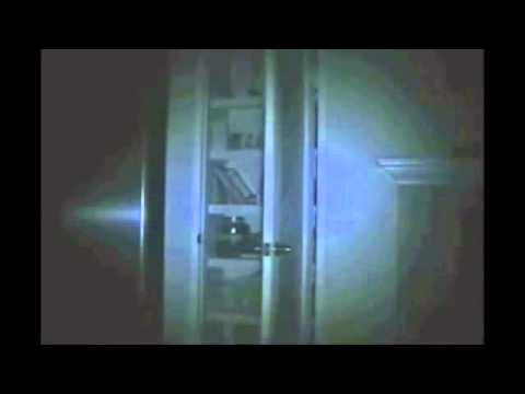 True Capitalist Ghost Sightings - WTF Content | Free Funny and Bizarre ...