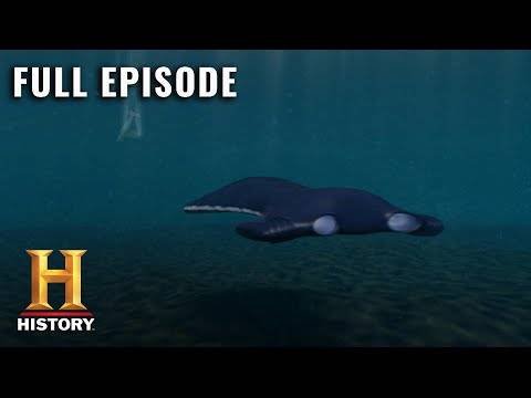 UFO Hunters: Strange USOs Found in the Deep Sea (S1, E2) | Full Episode ...