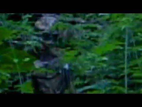 UFO Sightings Alien Anarchy? Shocking Encounters With Aliens Special Report! 2013 - WTF Content ...